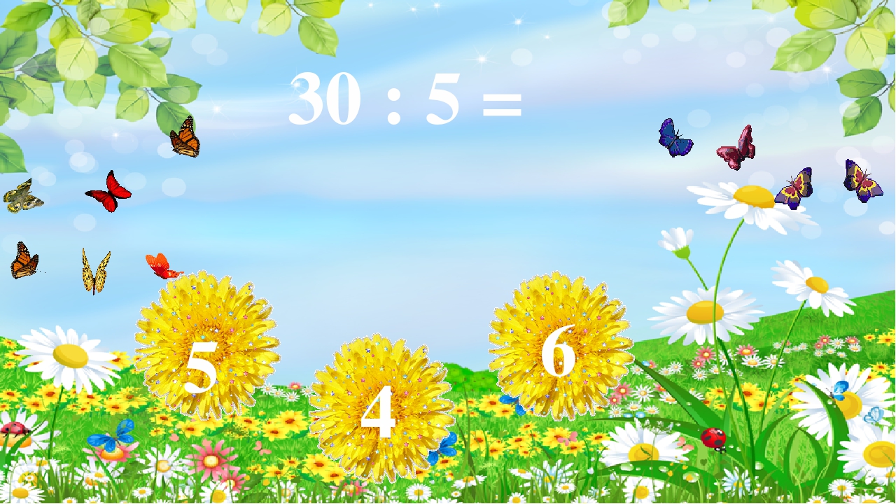 5 5