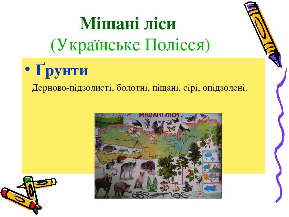 Природні зони України Природознавство 4 клас Презентація