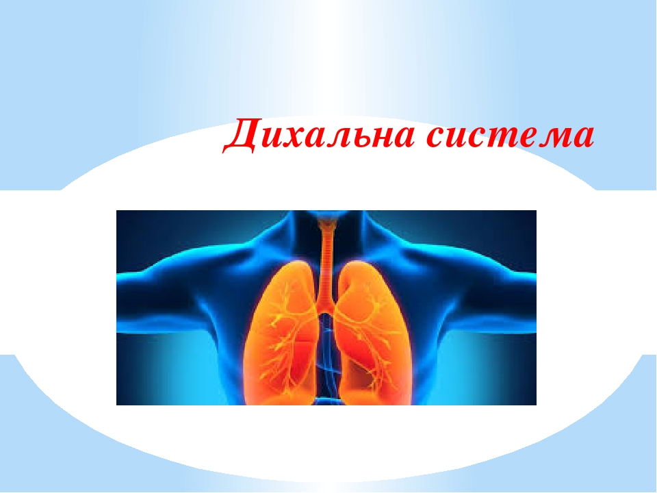 Презентація на тему: "Дихальна система"