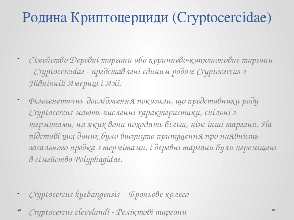 Презентація "Ряд Таргани" на урок