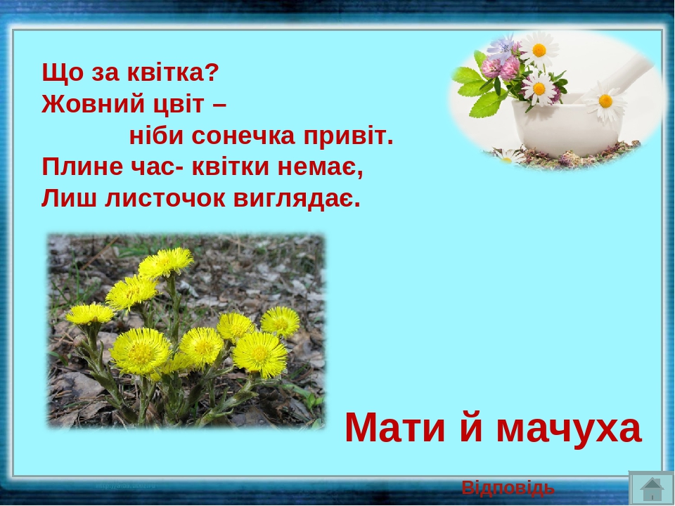 Презентація гри Квіти України