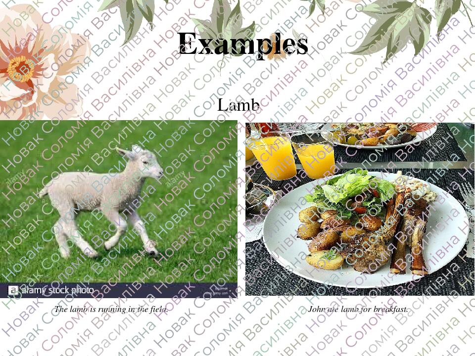 Презентація:"THE POLYSEMY IN THE ENGLISH LANGUAGE"