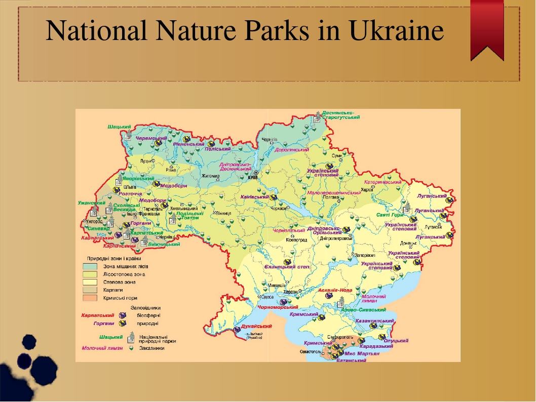 Презентація на тему "National Nature Parks in Ukraine"