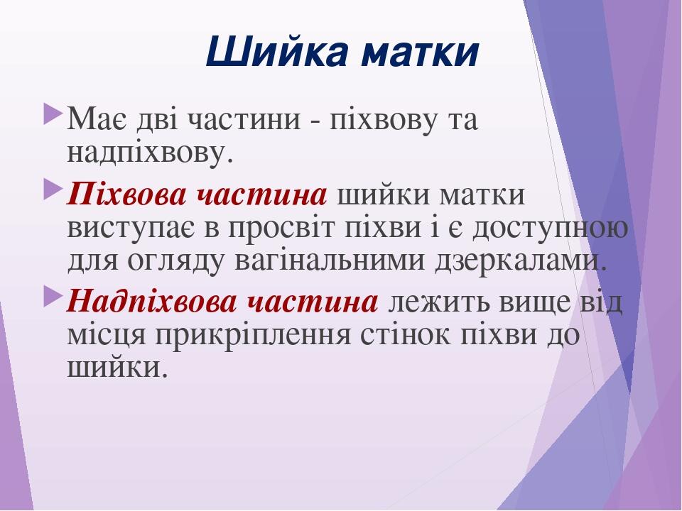 Презентація з анатомії людини на тему Анатомія жіночих статевих