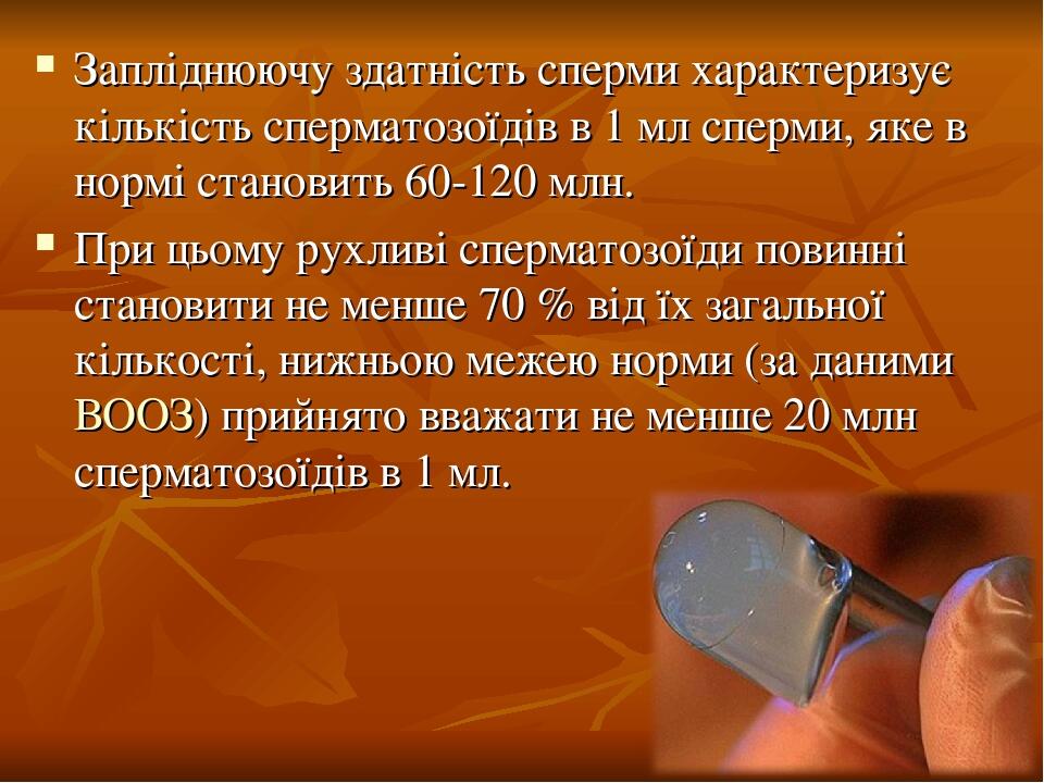 Презентація до заняття на тему Анатомія та фізіологія статевої