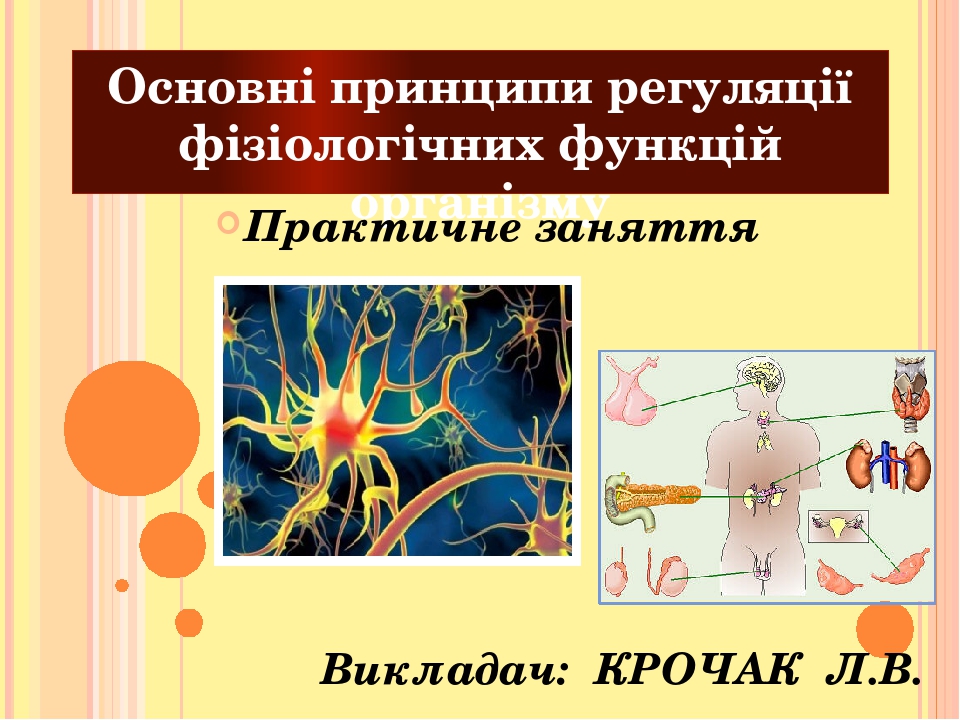 ПРЕЗЕНТАЦІЯ Регуляція функцій організму
