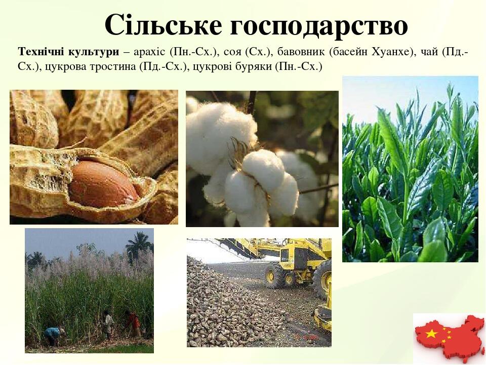 Презентація до уроку географії у 10 класі по Темі 2 Країни Азії Китай
