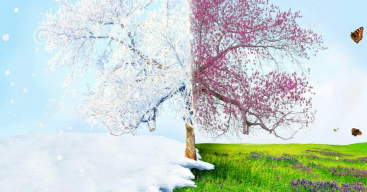 Урок - батл з англійської мови "Winter vs Spring" | Конспект ...