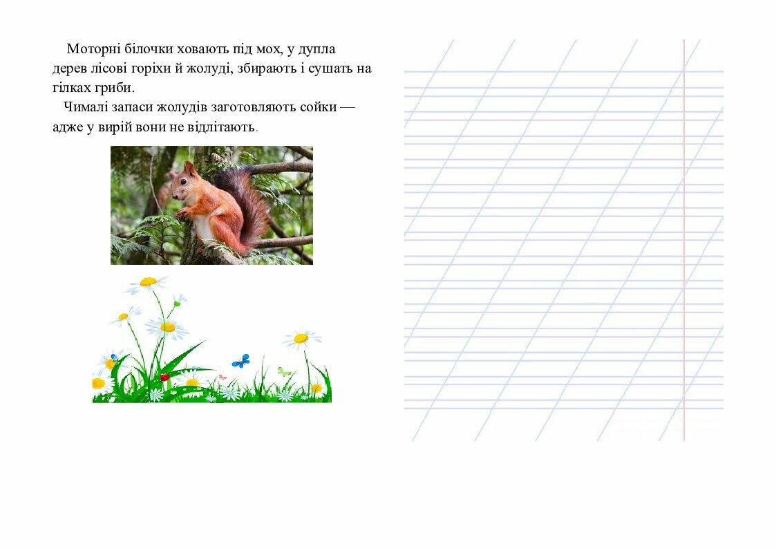 2 клас. Картки для списування. | Інші методичні матеріали. НУШ