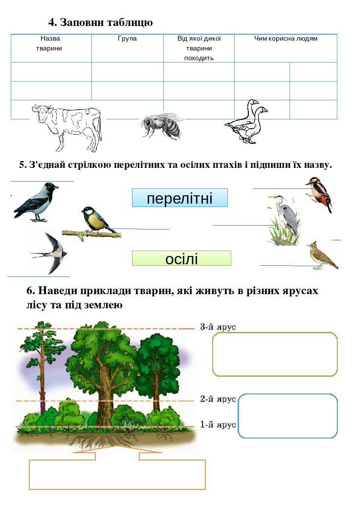 Діагностична робота з ЯДС Тварини 3клас до підручника І Грущинської Інші методичні