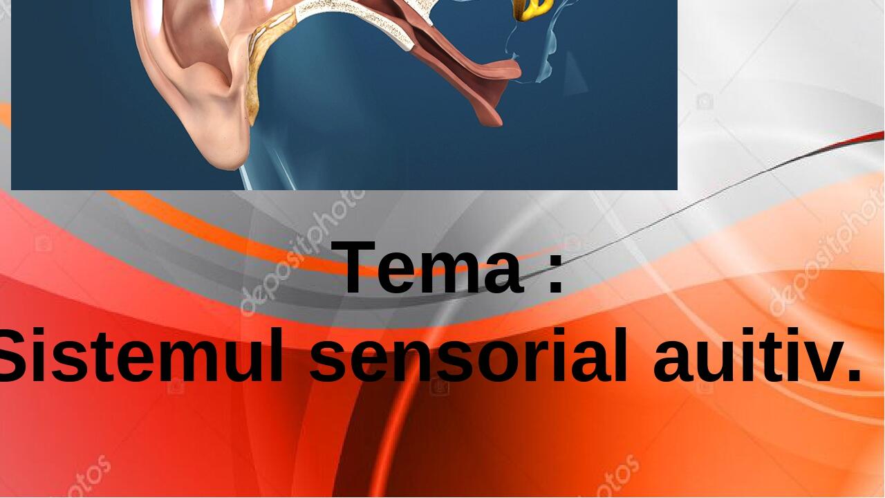 Tema : Sistemul senzorial auditiv | Презентація. Біологія