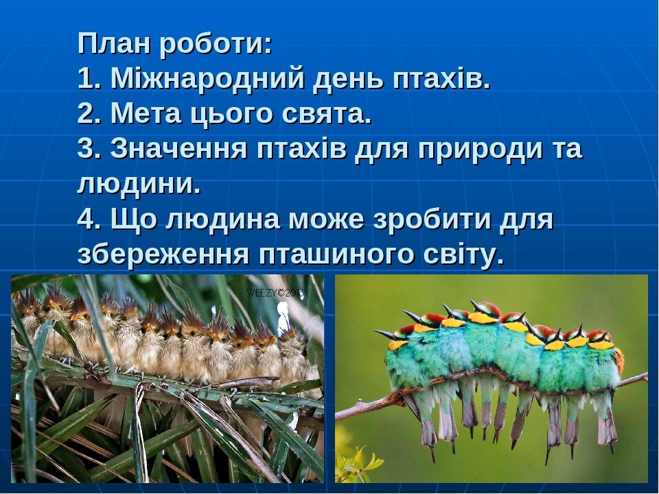 Презентація 1 квітня Міжнародний день птахів Презентація