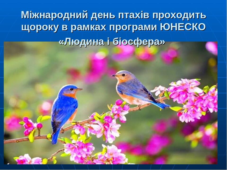 Презентація 1 квітня Міжнародний день птахів Презентація