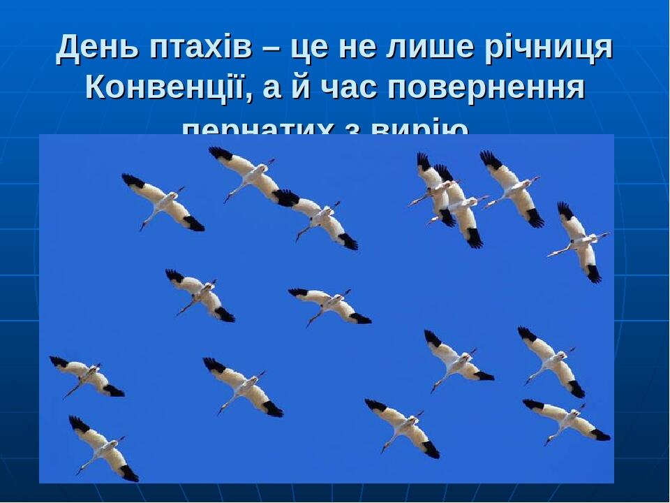 Презентація 1 квітня Міжнародний день птахів Презентація