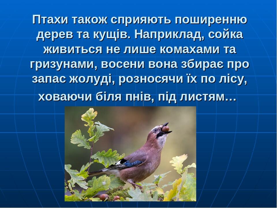 Презентація 1 квітня Міжнародний день птахів Презентація