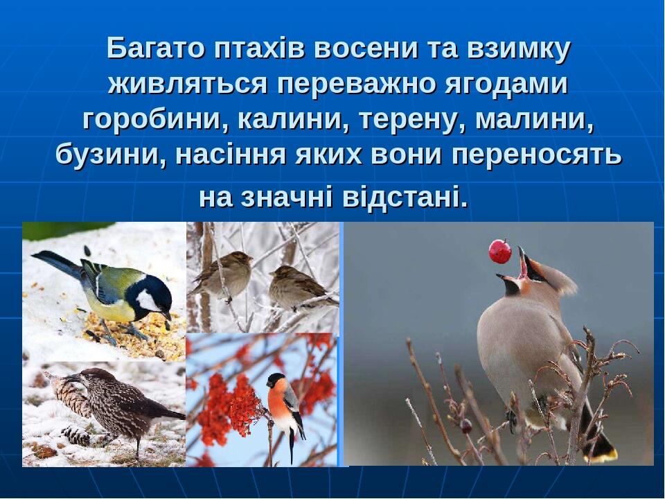 Презентація 1 квітня Міжнародний день птахів Презентація