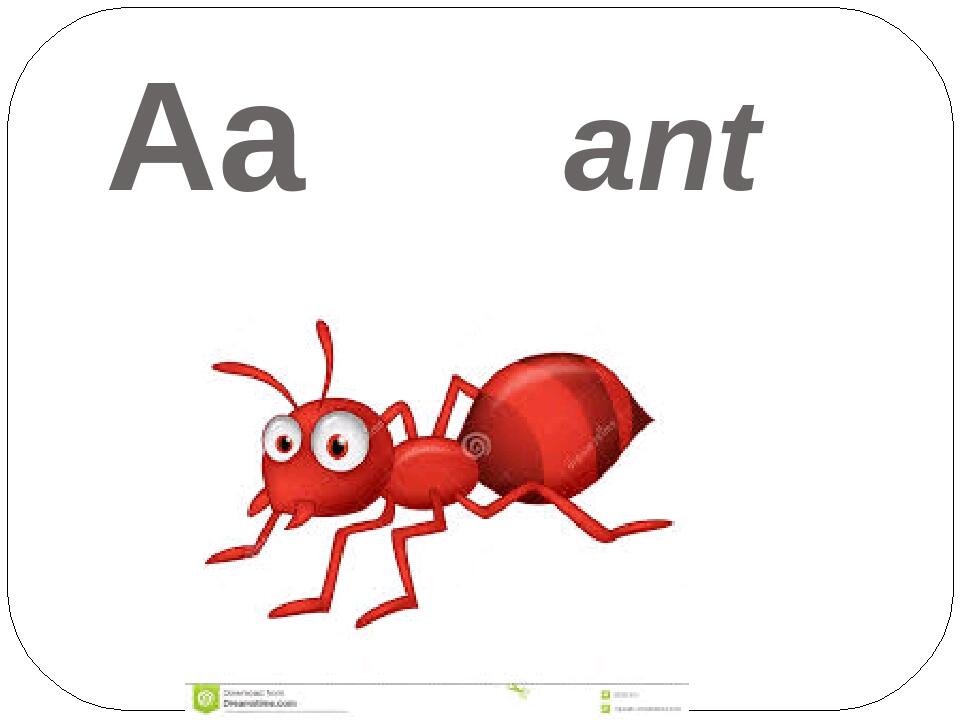 Презентація на тему "Alphabet" 1 клас | Презентація. Англійська мова