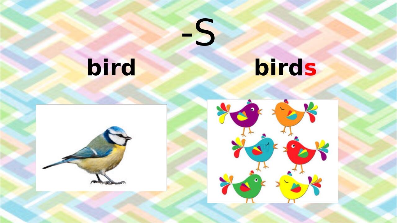 Презентація за темою "Plural forms" | Презентація. Англійська мова