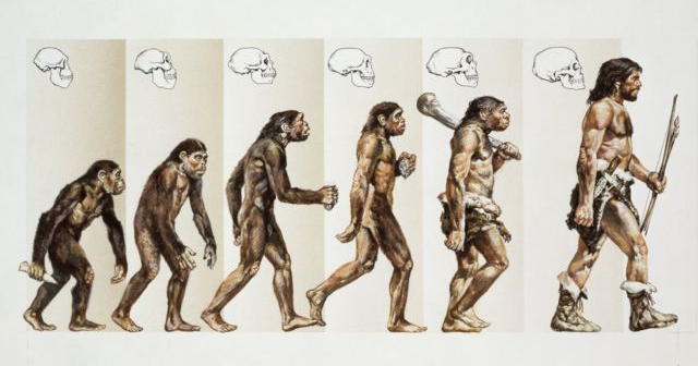 Презентація "Роль різних наук в обгрунтуванні теорії еволюції" | Презентація. Біологія