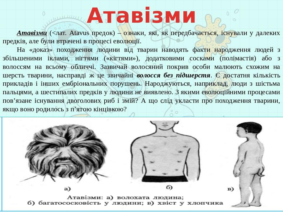 Еволюційне вчення. Ч.Дарвін, Ламарк...