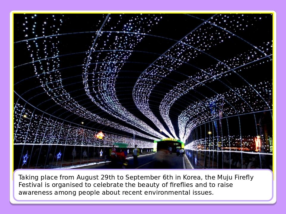 Презентація "Festivals around the world. Muju Firefly Festival (Korea ...