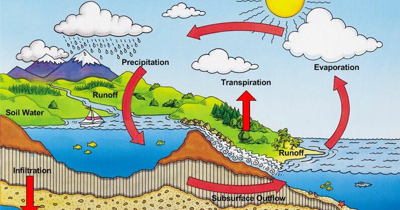 The water cycle (CLIL lesson) | Урок на 13 завдань. Англійська мова