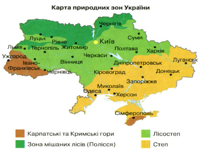 Біоми України | Урок на 4 завдання. Біологія і екологія