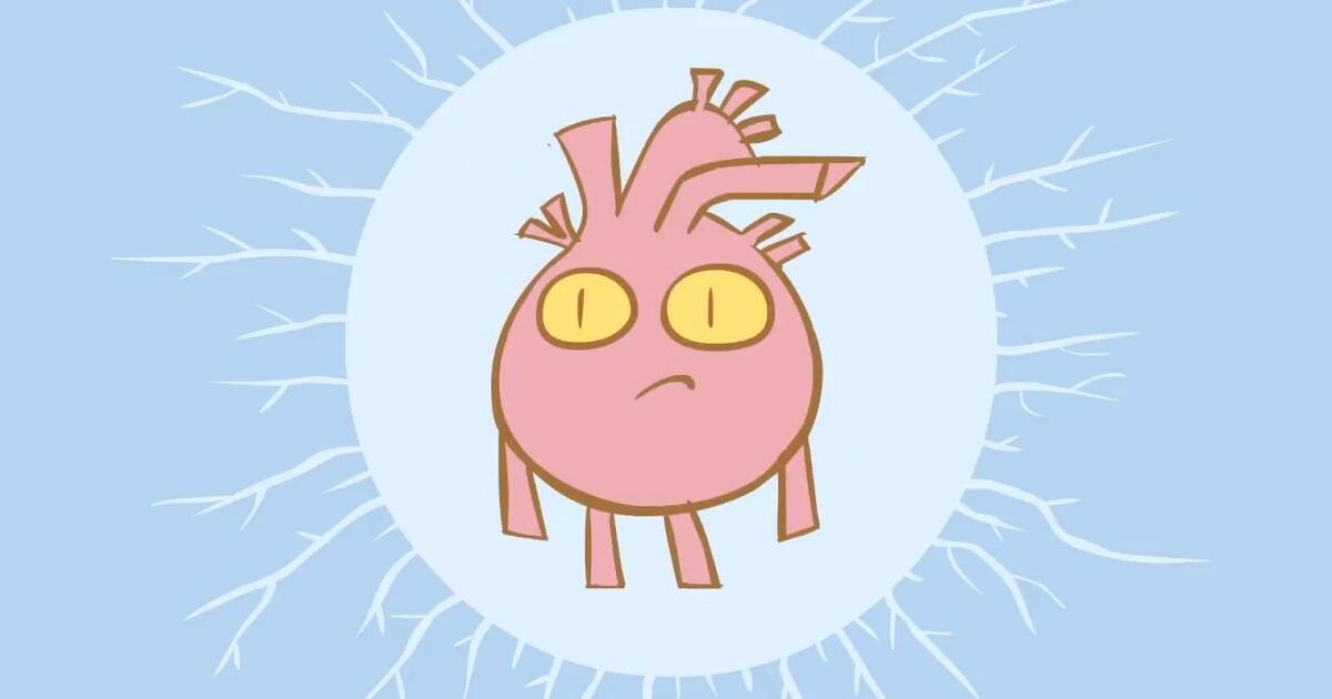 Презентація Практична робота №4 Порівняння кровоносної системи хребетних тварин Презентація